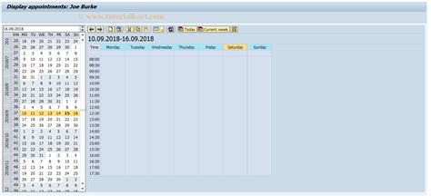Ssc Sap Tcode Sap Appointment Calendar Employee