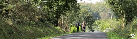 Etapa 11 San Romao Da Retorta Melide Camino Primitivo Senditur