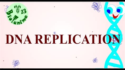 DNA REPLICATION YouTube