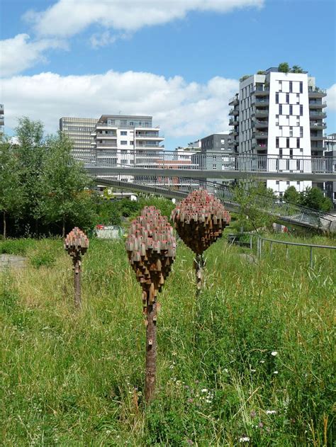 Some Very Pretty Flowers In The Grass By Some Tall Buildings And Trees
