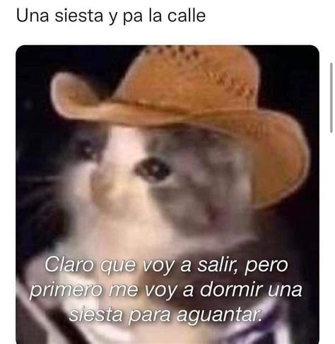 Eso es muy caro Esa madre vuela o qué Memes