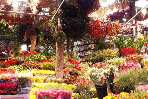 Flower Market Amsterdam Location Best Flower Site