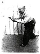 Southern Dragon Style Kung Fu Dragon Martial Arts Association