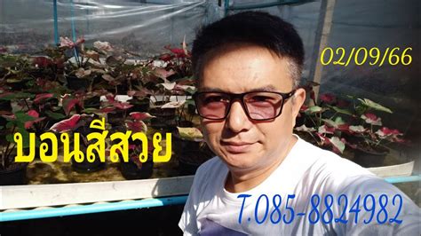บอนสสวย เทวาสวรรณ รกเอย ชายชล ปกษาพนาวลย YouTube
