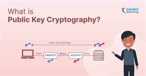 what is public key cryptography shiksha online