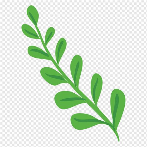 Flower Plant Stem Bang Leaf Branch Plant Stem Png PNGWing