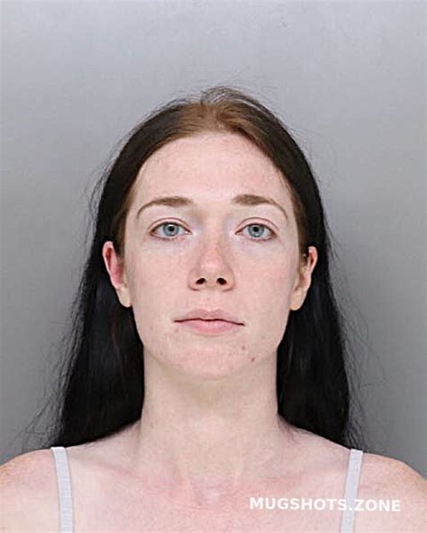 GRAYSON ALLISON 08 29 2023 Hamilton County Mugshots Zone