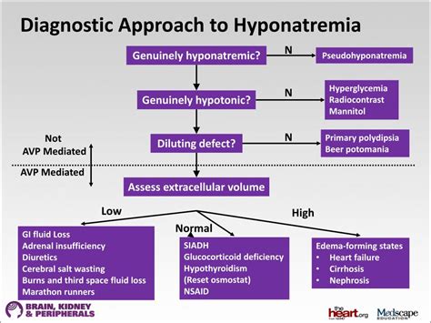 Hyponatremia Stages