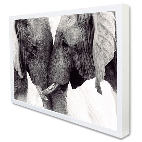 Quadro Decorativo Caixa Alta Vidro Elefantes Se Encarando