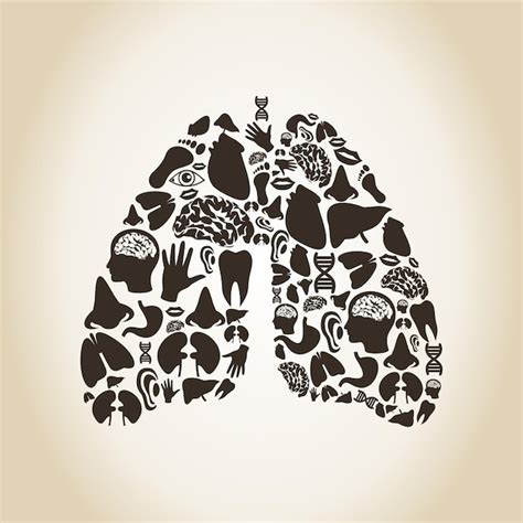 Los Pulmones Vector Premium