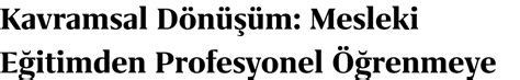 Öğretmenlerin Profesyonel Öğrenmesine Yeni Bir Bakış