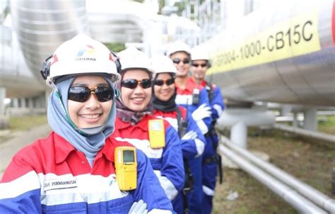 Pertamina Geothermal Energy Dan Chevron Mengembangkan Wkp Way Ratai