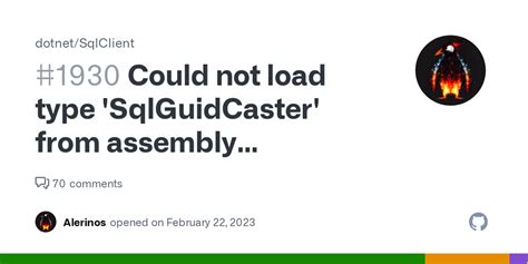 Could Not Load Type SqlGuidCaster From Assembly Microsoft Data