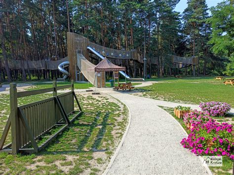 Park Linowy W Lubinie Darmowa Atrakcja Dla Dzieci I ścieżka Historyczna