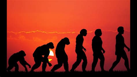 6e Histoire Chapitre 1 Les débuts de l humanité YouTube