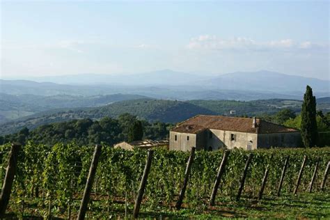 MONTECUCCO DOC E DOCG Bilancio più che positivo per l ultima edizione