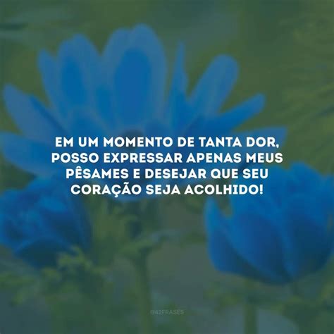 Frases Para Quem Perdeu Um Ente Querido Se Sentir Acolhido