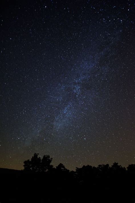 Free Images Tree Nature Glowing Sky Star Milky Way Cosmos
