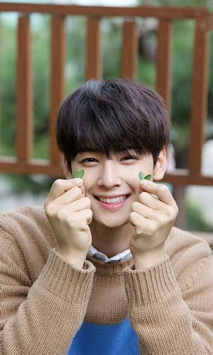 Cập nhật hơn 68 về hình nền cha eun woo hay nhất coedo vn
