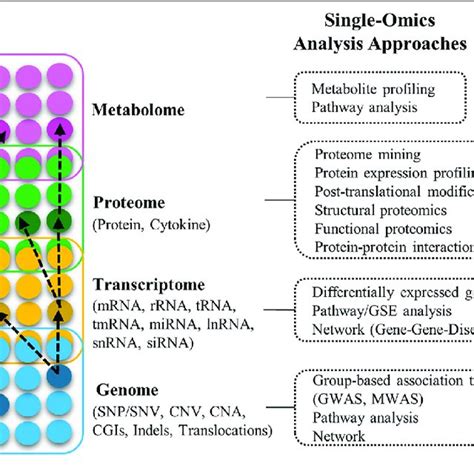 pdf unsupervised multi omics data integration methods a comprehensive review
