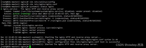 Nginx Upstream Nginx Emerg Bind To Failed