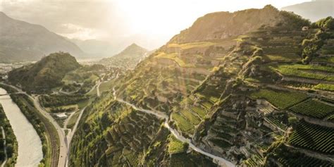Tout Savoir Sur Le Vin De Suisse La Revue Du Vin De France