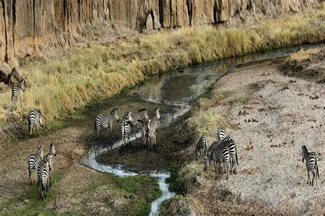 Best Day Trip To Tarangire National Park 2024 2025 Book With Sembo