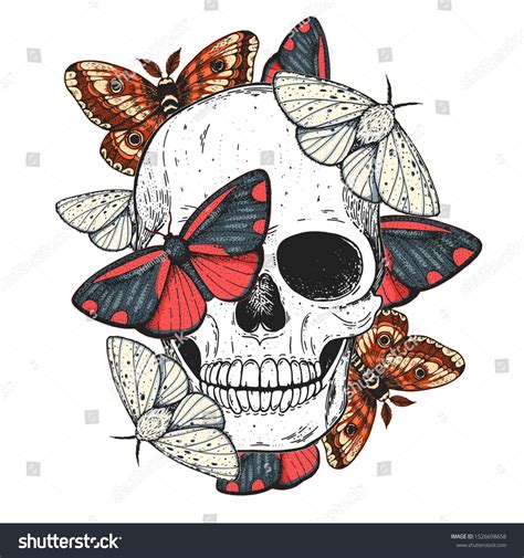 Skull Butterflies Hand Drawn Illustration Tattoo 库存矢量图免版税1526698658