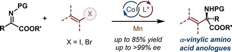 Cobaltcatalyzed Asymmetric Azanozakihiyamakishi Nhk Reaction Of