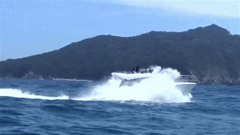 Boat GIFs Get The Best On GIPHY