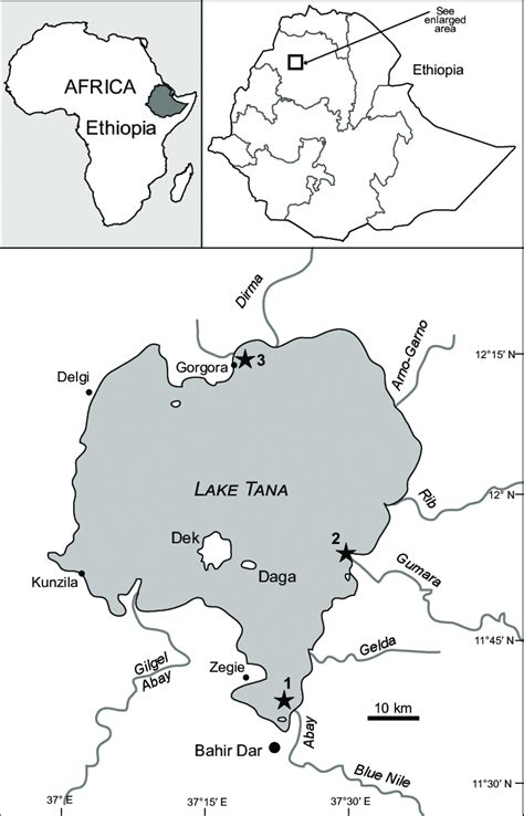 A Map Showing The Location Of Lake Tana In Relation To Africa Ethiopia