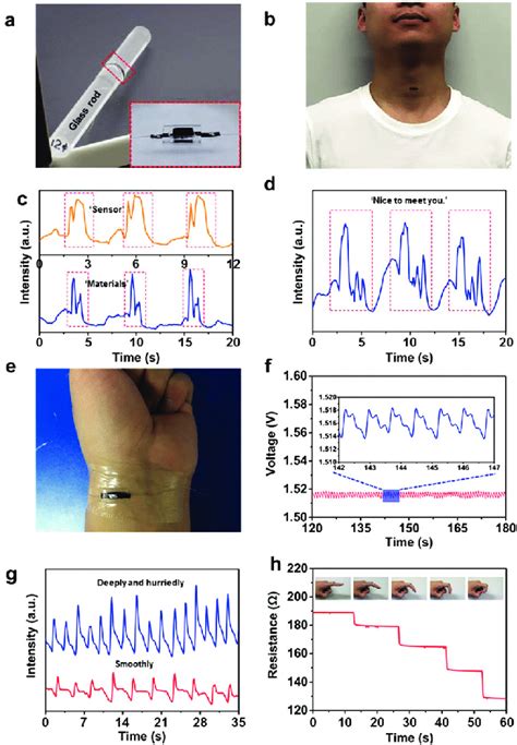 wearable device assembled from cnfns for various physiological signal download scientific