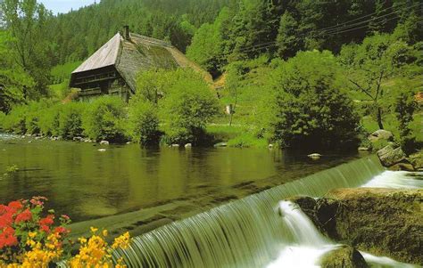 Black Forest Germany Black Forest Germany Forest Sounds Black Forest