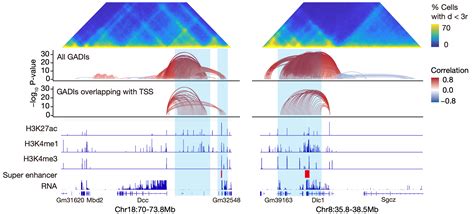Science Single Cell Multi Omics Technology Revealing The Relationship
