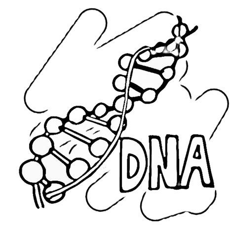 Science Lab Equipment Coloring Pages At GetColorings Free