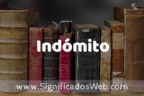 Definición de Indómito Que es Concepto y Significado 2023