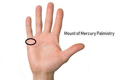 Mount Of Mercury Palmistry Reading And Meaning Dream Astro Meanings