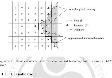 finite volume immersed boundary solvers for compressible flows development and applications
