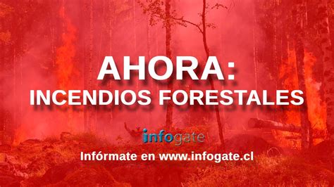 Incendios Forestales NO Dan Tregua Ahora Se Debe Evacuar Sector