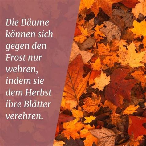 Herbst Sprüche Zitate und Gedichte für einen netten Gruß Herbst