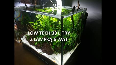 12 Akwarium roślinne low tech 30l aktualizacja YouTube