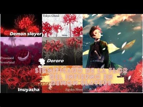 La Flor Del Infierno Del Ending De Demon Slayers Su Significado En