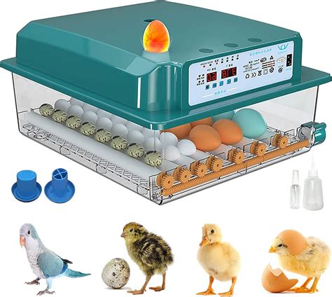 Amazon Urren Incubator For Eggs Automatic Incubator Brooding
