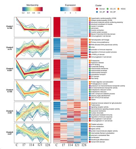 functional clustering of differentially expressed proteins all time download scientific