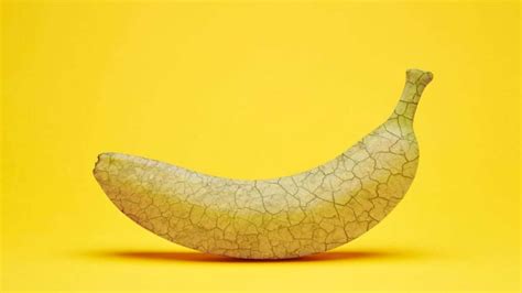 Veiny Penis Guide To Keep Your Manhood Healthy Confident