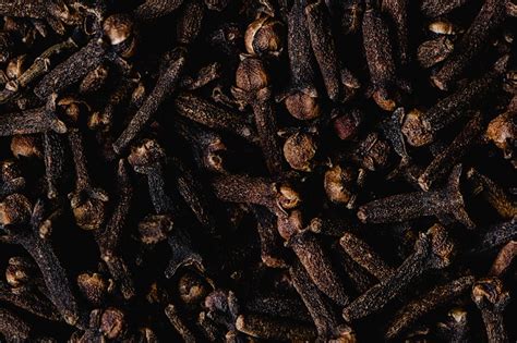 Saiba tudo sobre como plantar cravo da índia Blog da Cobasi