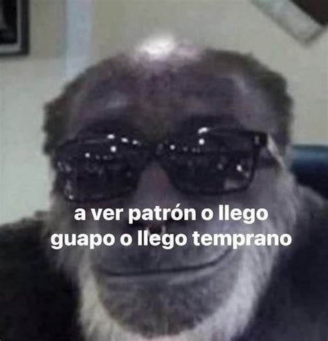 Top memes de Mono en español Memedroid