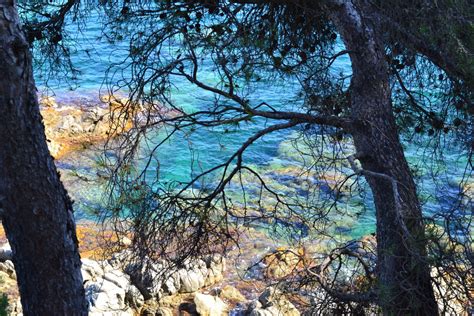 Fotos gratis paisaje mar árbol naturaleza bosque rock desierto