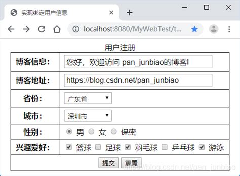javascript操作表单元素 js操控网页表单 csdn博客