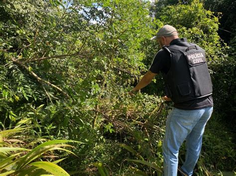 Morte De Jovem Encontrado Em Matagal Ap S Desaparecimento Aconteceu Por